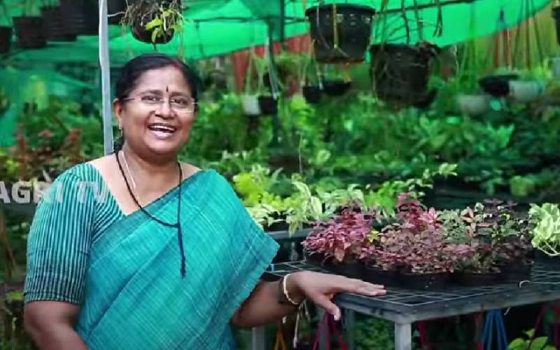 എഴുനൂറോളം ചെടികളുടെ മനോഹര ലോകം; ജ്യോതി അജിത്തിന്റെ ചെടിവീട്