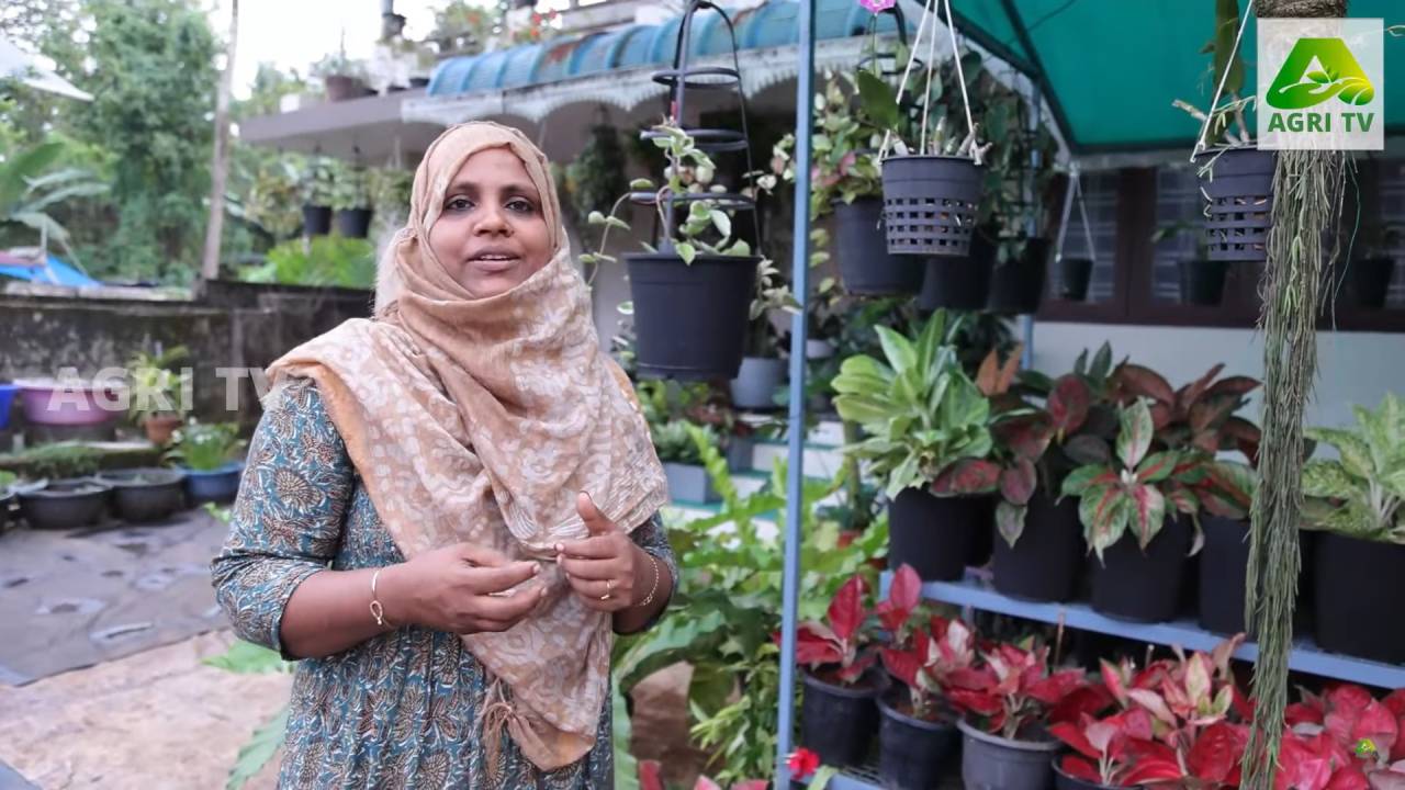 ഈ ചെടികളാണ് സജനയുടെ ലോകം